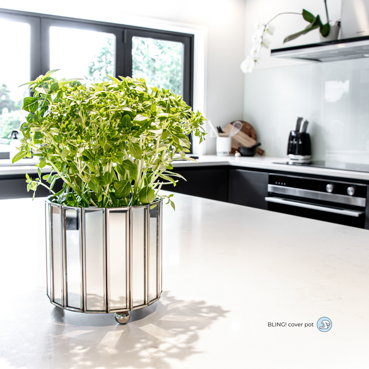 The Bling Pot (Includes Shipping across New Zealand)